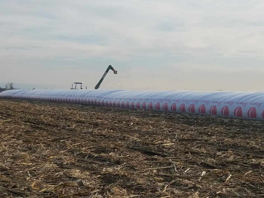 Richiger | Dammann Farms | Clarinda, IA | Richiger Grain Baggers ...