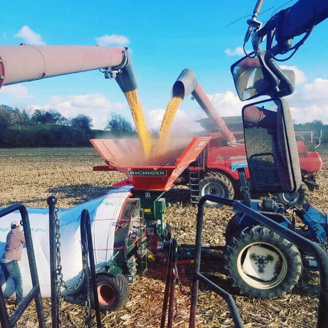 Dammann Farms | Clarinda, IA | Richiger Grain Baggers, Unloaders & More